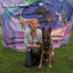 Аватар автора