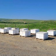 EmpireBee company Аватар автора