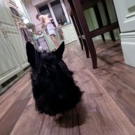 Булочка_тв Аватар автора