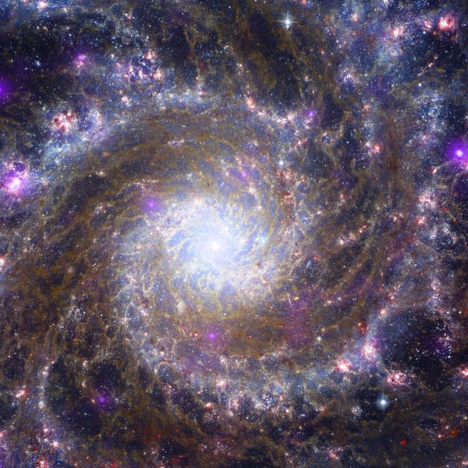 Mikola Аватар автора