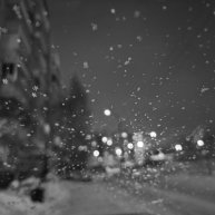Все есть лекарство, все есть яд! Аватар автора