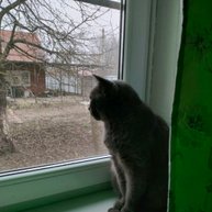 Нестабильно Аватар автора