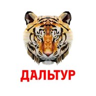 ДАЛЬТУР Аватар автора