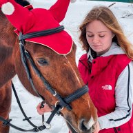 the equestrian life Аватар автора
