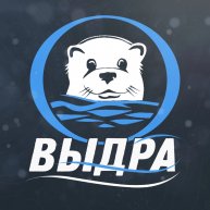 Лодки Выдра Аватар автора