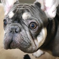 Viktor MUR Аватар автора