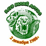 Лабиринты кунг-фу Аватар автора