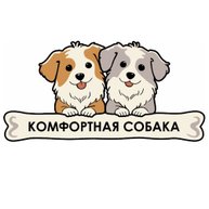 comdog.ru Аватар автора