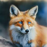 СеНтЯбРиК13 Аватар автора