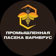 Промышленная Пасека Варибрус Аватар автора