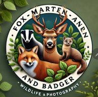 Fox-Marten and Badger Аватар автора