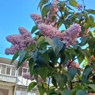 Все Гениальное Просто Аватар автора