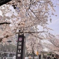 𐙚ᴍɪʟᴋsɪ~°🎧🇰🇷 Аватар автора