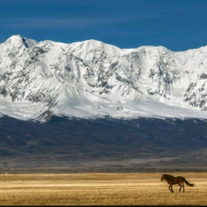 Автоэлектрик 04 Аватар автора