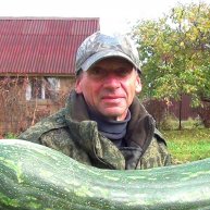 Огород с дедом Маркелычем. Аватар автора