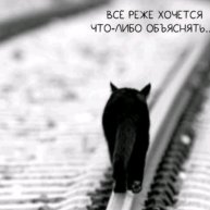 Show must go on ✌ Аватар автора