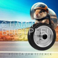 channel57332130 Аватар автора