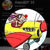 Аэродог22 Аватар автора
