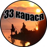33 карася Аватар автора