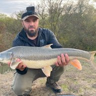 fishing-in-Chechnya Аватар автора
