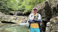 Андрей Шипицын Аватар автора