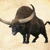 MR.BISON Аватар автора
