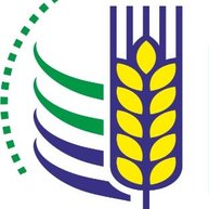 ООО  Аватар автора