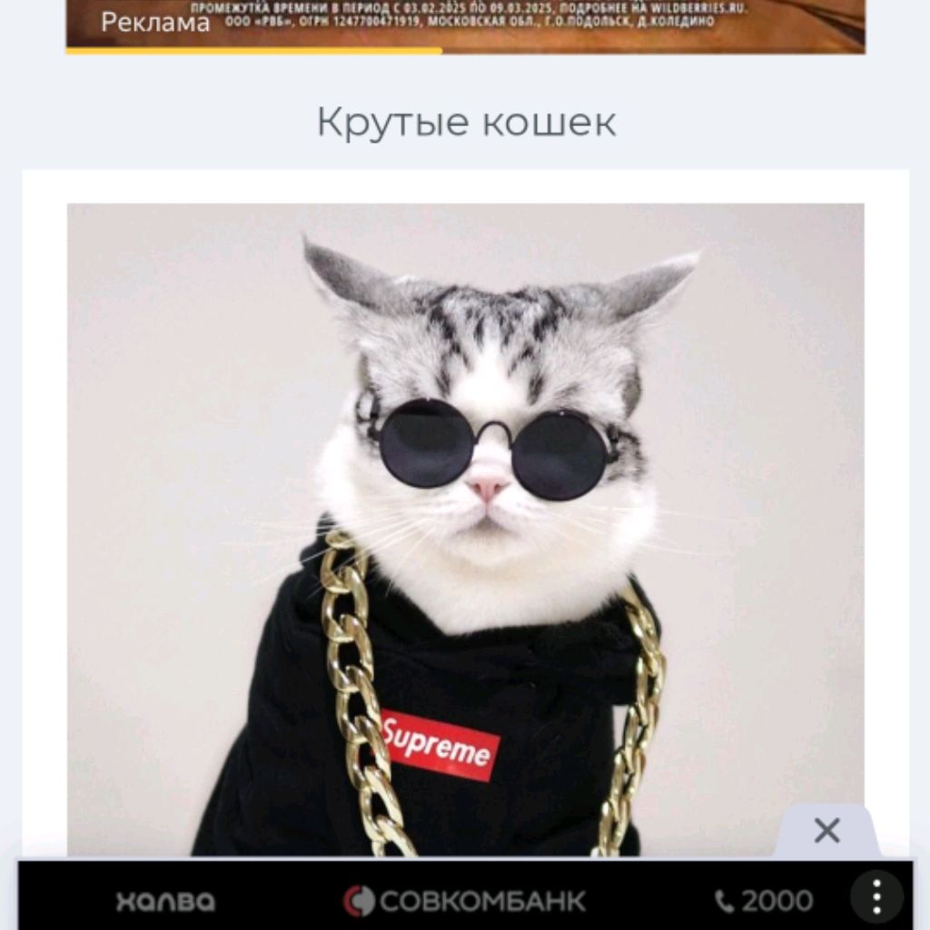 Аватар автора