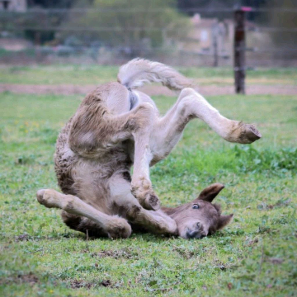 Труд Аватар автора