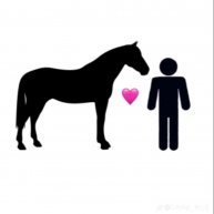 HORSE BLOG 🐴 Аватар автора