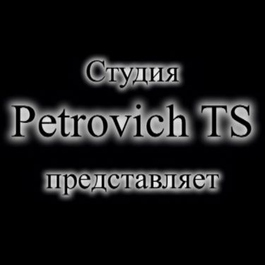 petrovich-ts Аватар автора