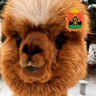 Иван Зельцин Аватар автора