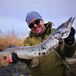 LIFEisFISHING