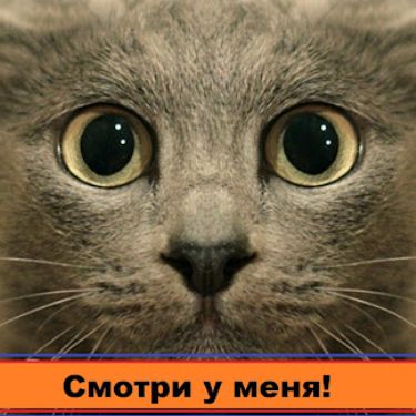 Смотри у меня!