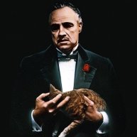 All about movies Аватар автора