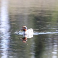Удивительный мир живой природы. Аватар автора