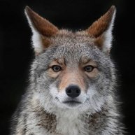 MariozTv Аватар автора