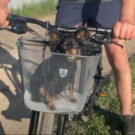 seich_bebeich Аватар автора