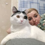 Марина Лиман Аватар автора