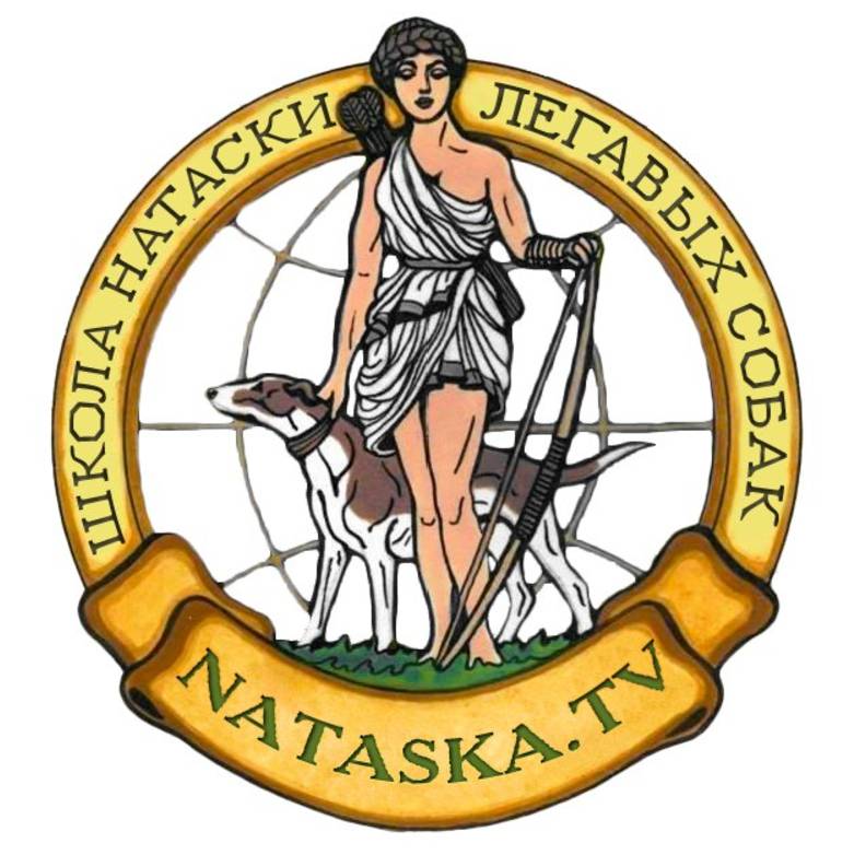 nataska.tv Аватар автора