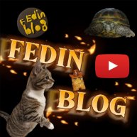 Fedin Blog TV Аватар автора