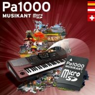 Кавер-ритмы на KORG Pa1000 Аватар автора