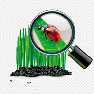 Исследуем вместе Аватар автора
