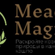 Meadow Magic (Магия лугов) Аватар автора