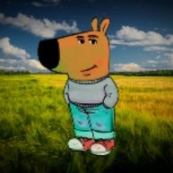 Шторм (: Аватар автора