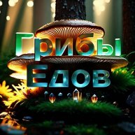 ГрибыЕдов Аватар автора