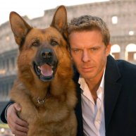 Сериал Комиссар Рекс/ Il commissario Rex 2008-2015 Аватар автора