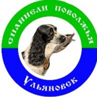 Русский Охотничий Спаниель Ульяновск Аватар автора