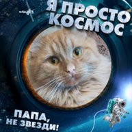 channel64764833 Аватар автора