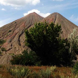 Жизнь в Ростовской губернии Аватар автора